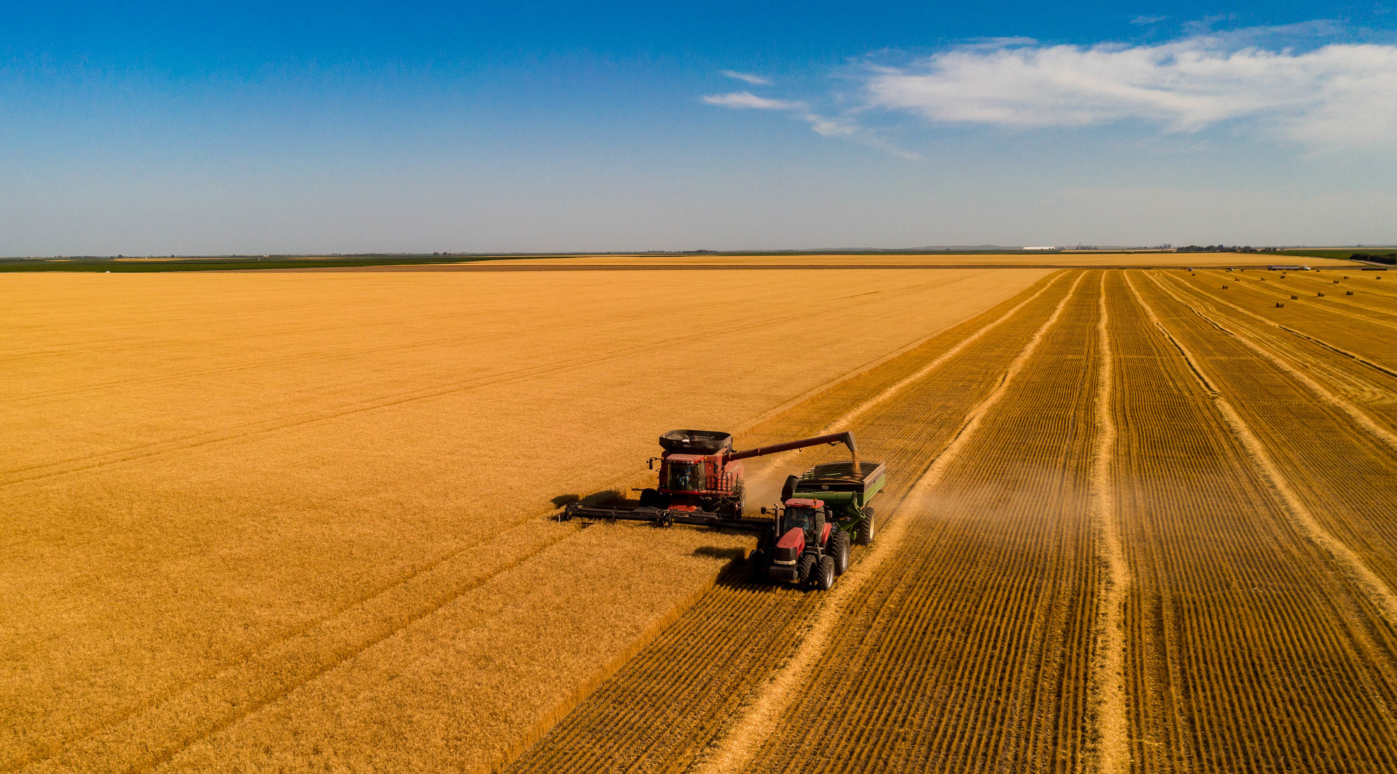 Available Nebraska & South Dakota Properties | Iowa Farmland Brokers | IA, IL, NE